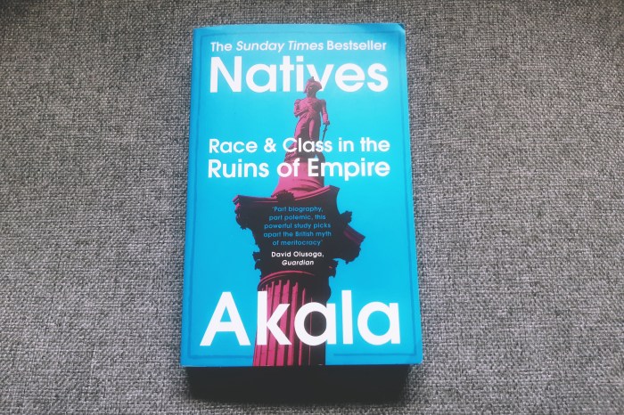 Review-ish: Natives by Akala | Offbeat Book Club
